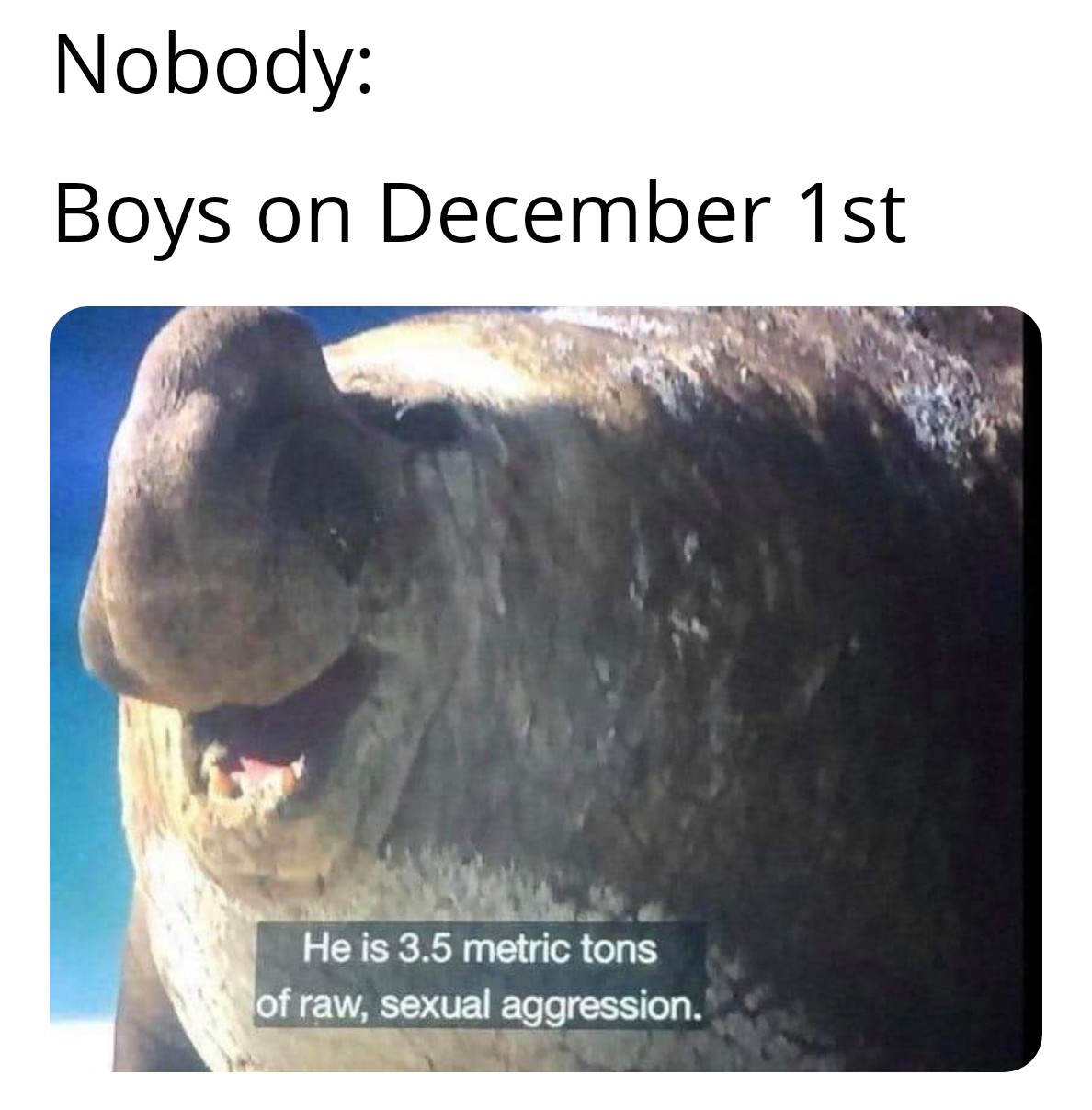 If you can make it through NNN | Scrolller