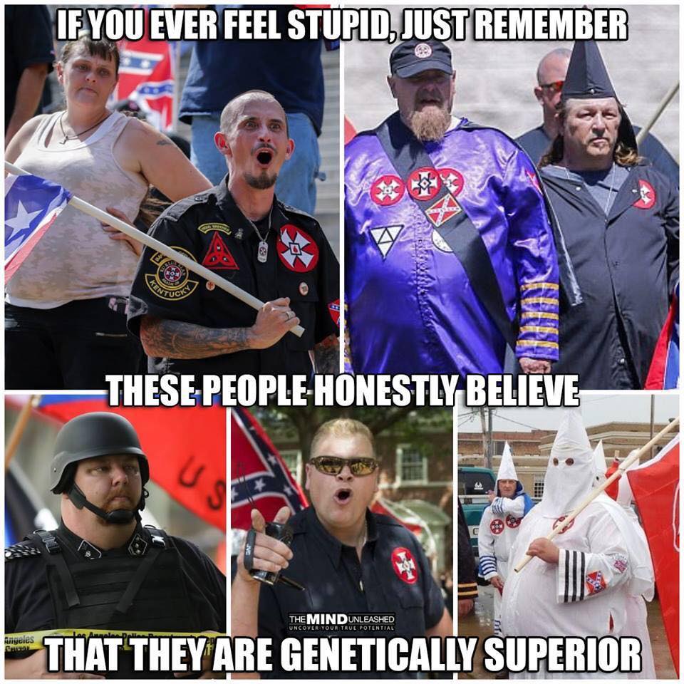 If you ever feel stupid... | Scrolller