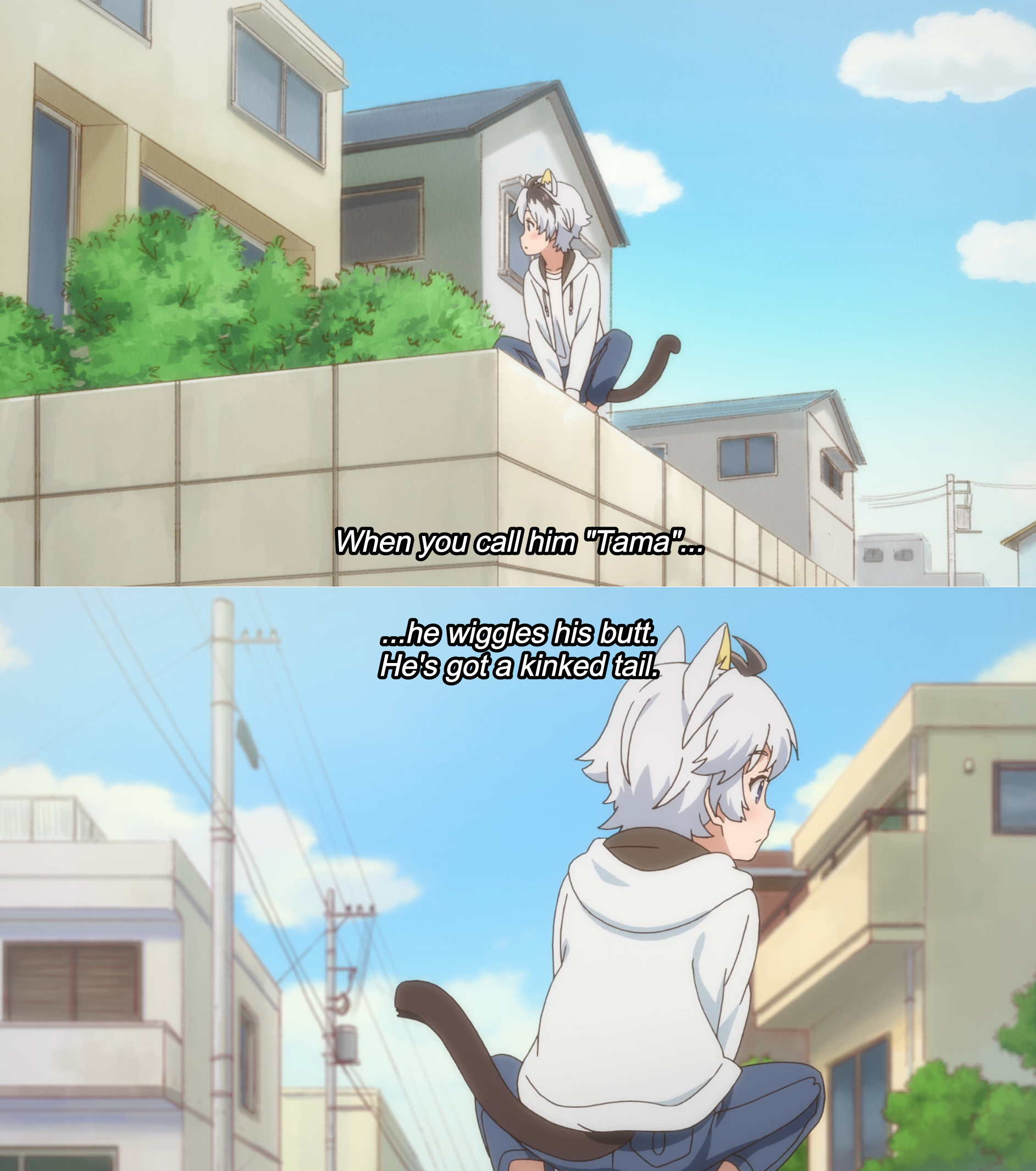 If you haven't heard of it, you should watch [Uchi Tama - Uchi no Tama ...