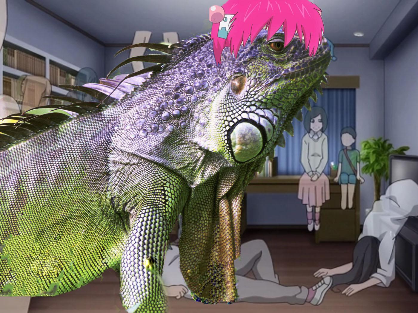 Iguana saiki | Scrolller