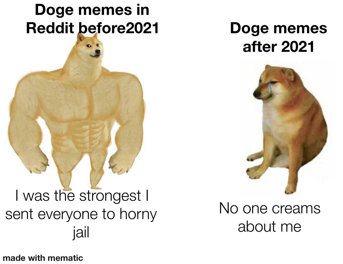 Ik I still miss doge memes (it may not be true) I jus made this for fun | Scrolller