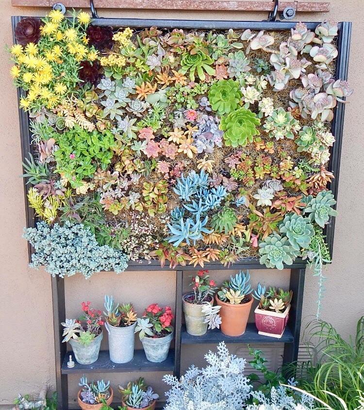 I'm envious of my grandparents' standing succulent garden | Scrolller