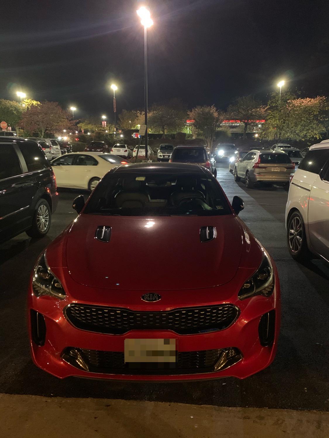 I'm seeing alot of stingers here in Virginia | Scrolller