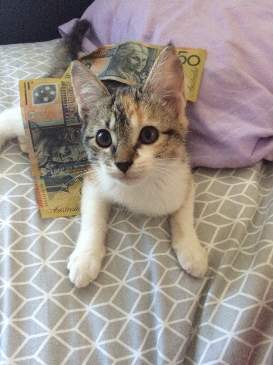 I'm so rich I use money to keep myself warm | Scrolller