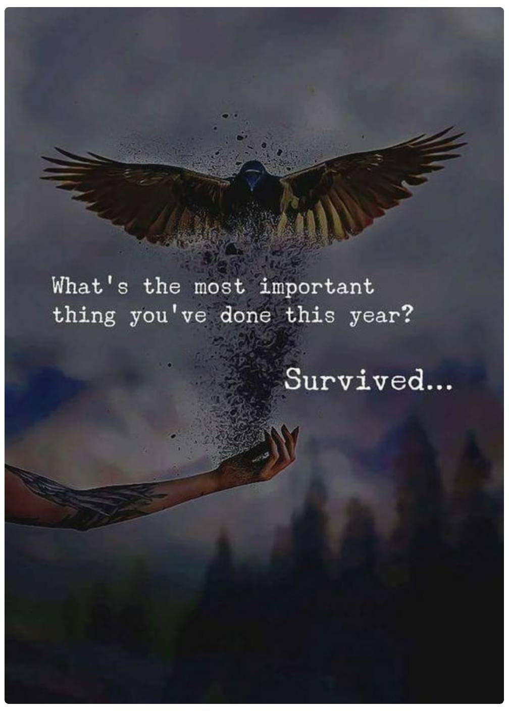 [Image] Yes indeed that's true , but please don't ever give up . | Scrolller