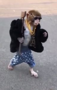 Imma head out | Scrolller