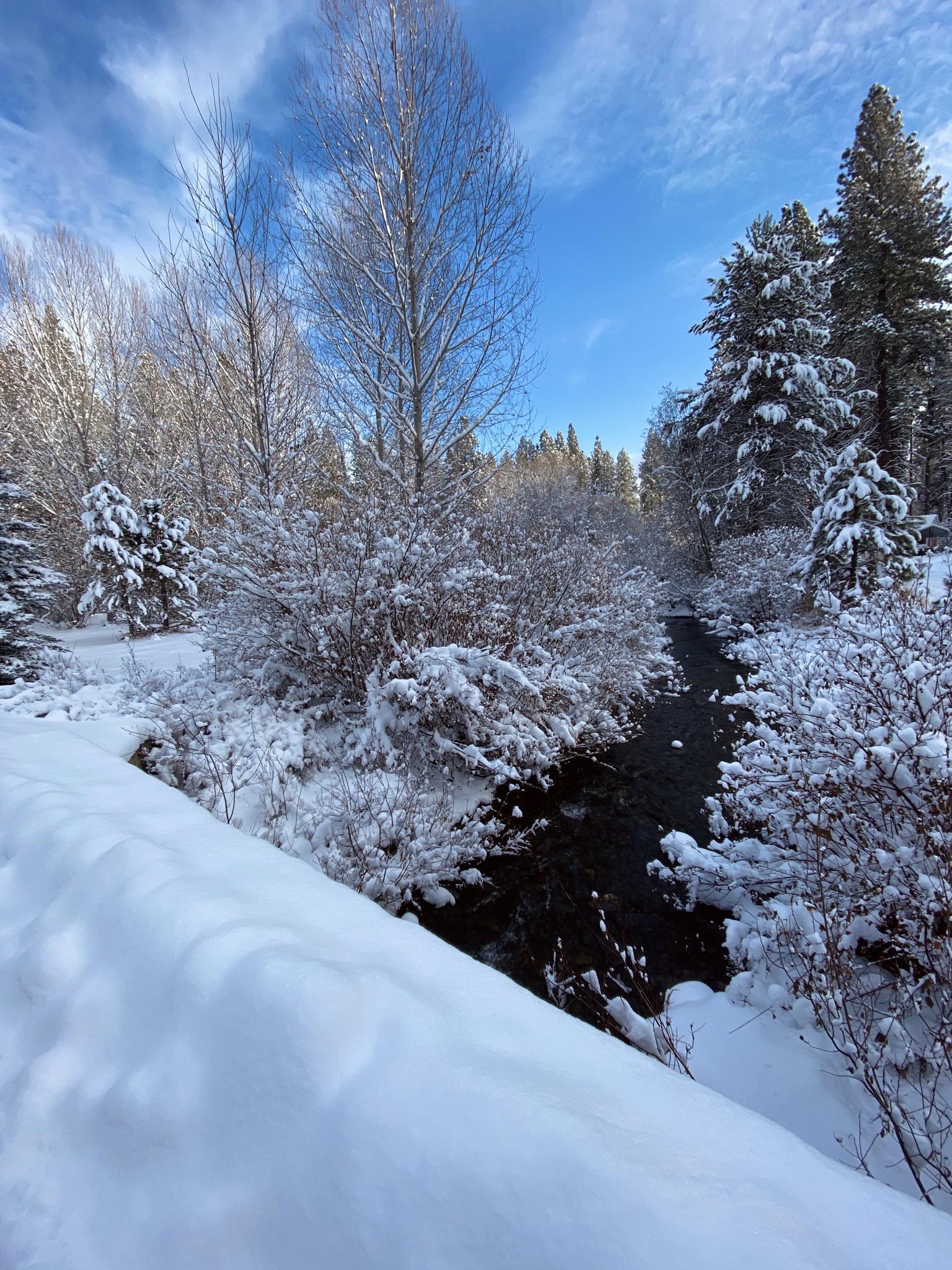 In the Elkhorn Mountains of Eastern Oregon | Scrolller