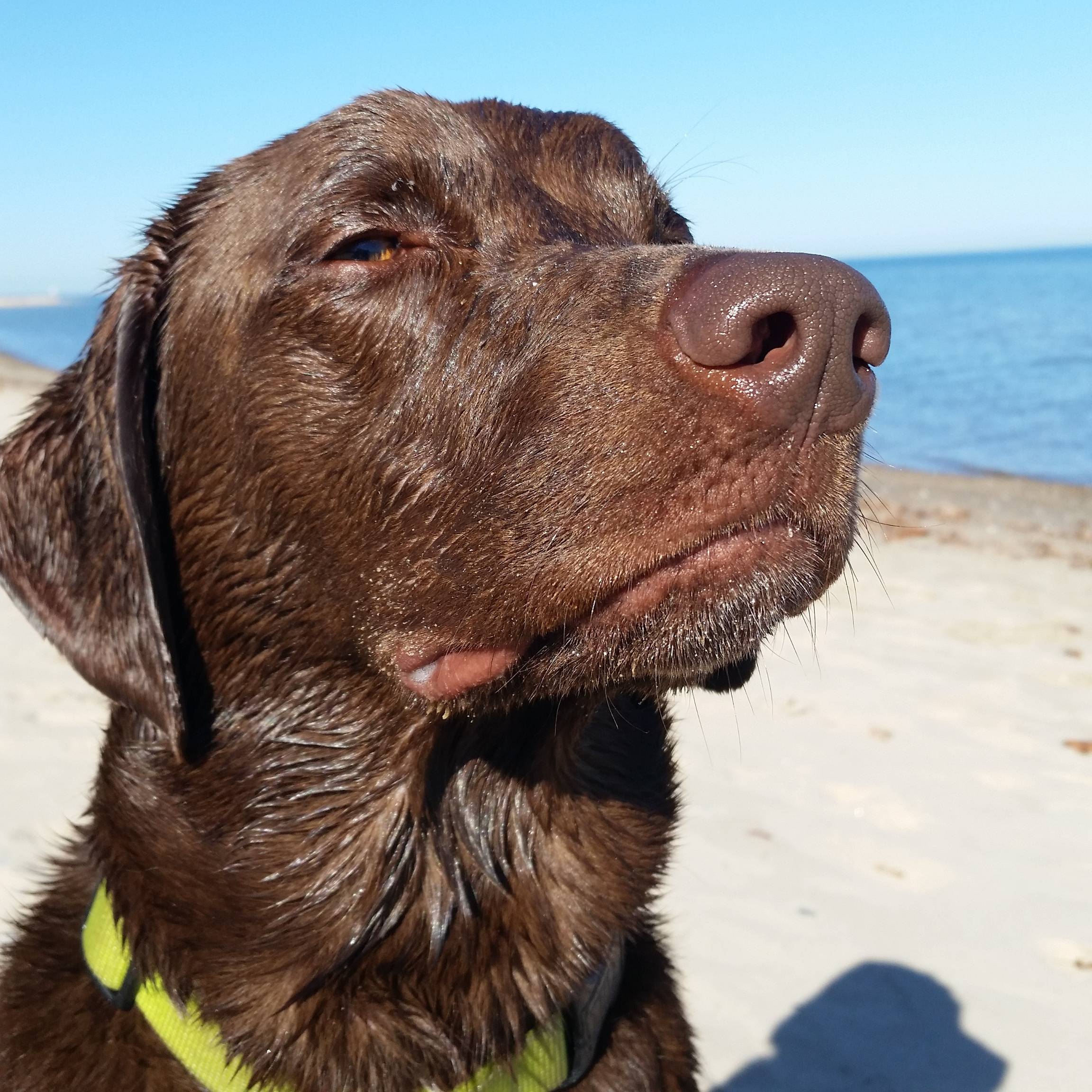 In the moment... | Scrolller