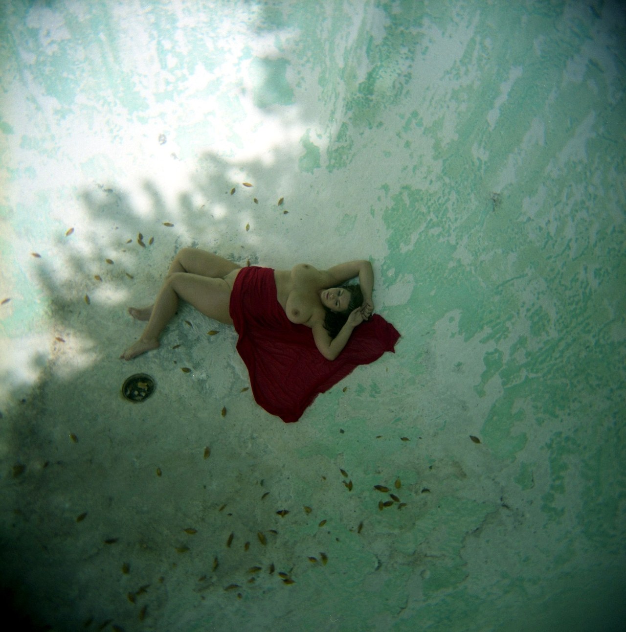 In the pool. | Scrolller