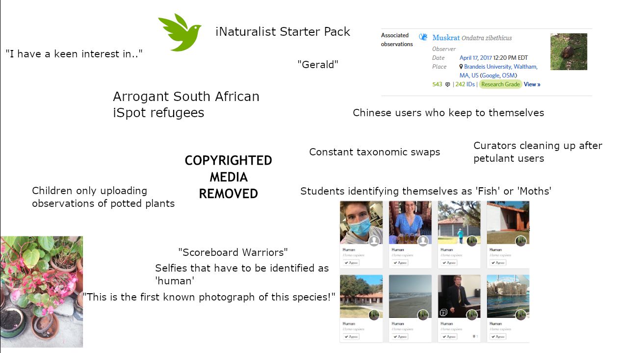 iNaturalist Starter Pack | Scrolller