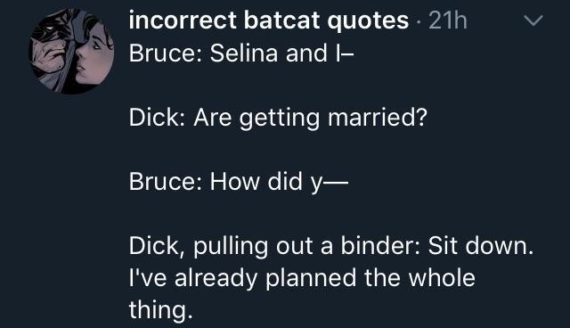 Incorrect BatCat Quote (but so accurate). | Scrolller