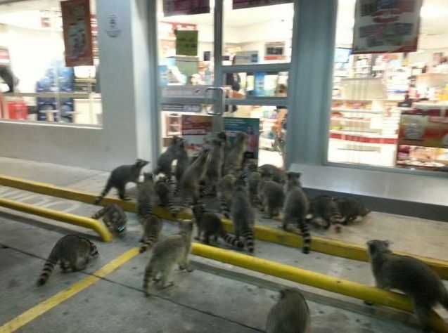 [insert Eric Andre screaming let me in meme] | Scrolller