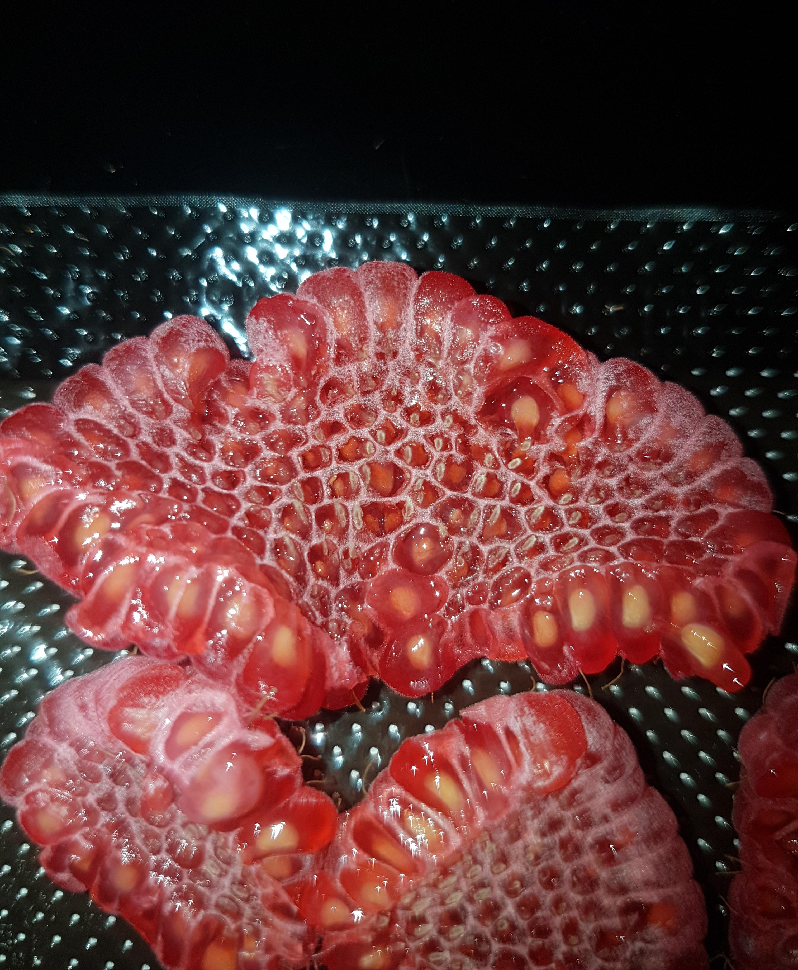 Inside of a raspberry | Scrolller