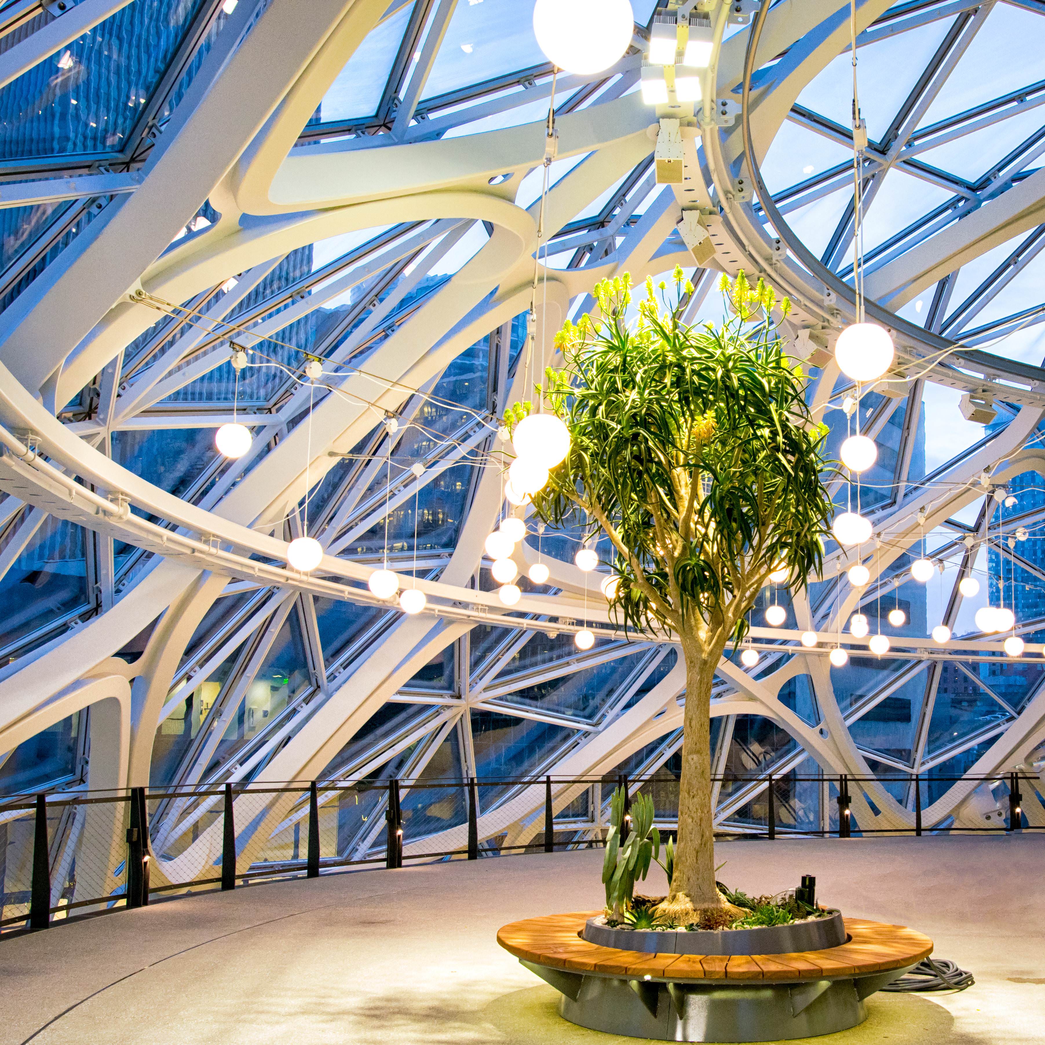 Inside the Amazon Spheres | Scrolller