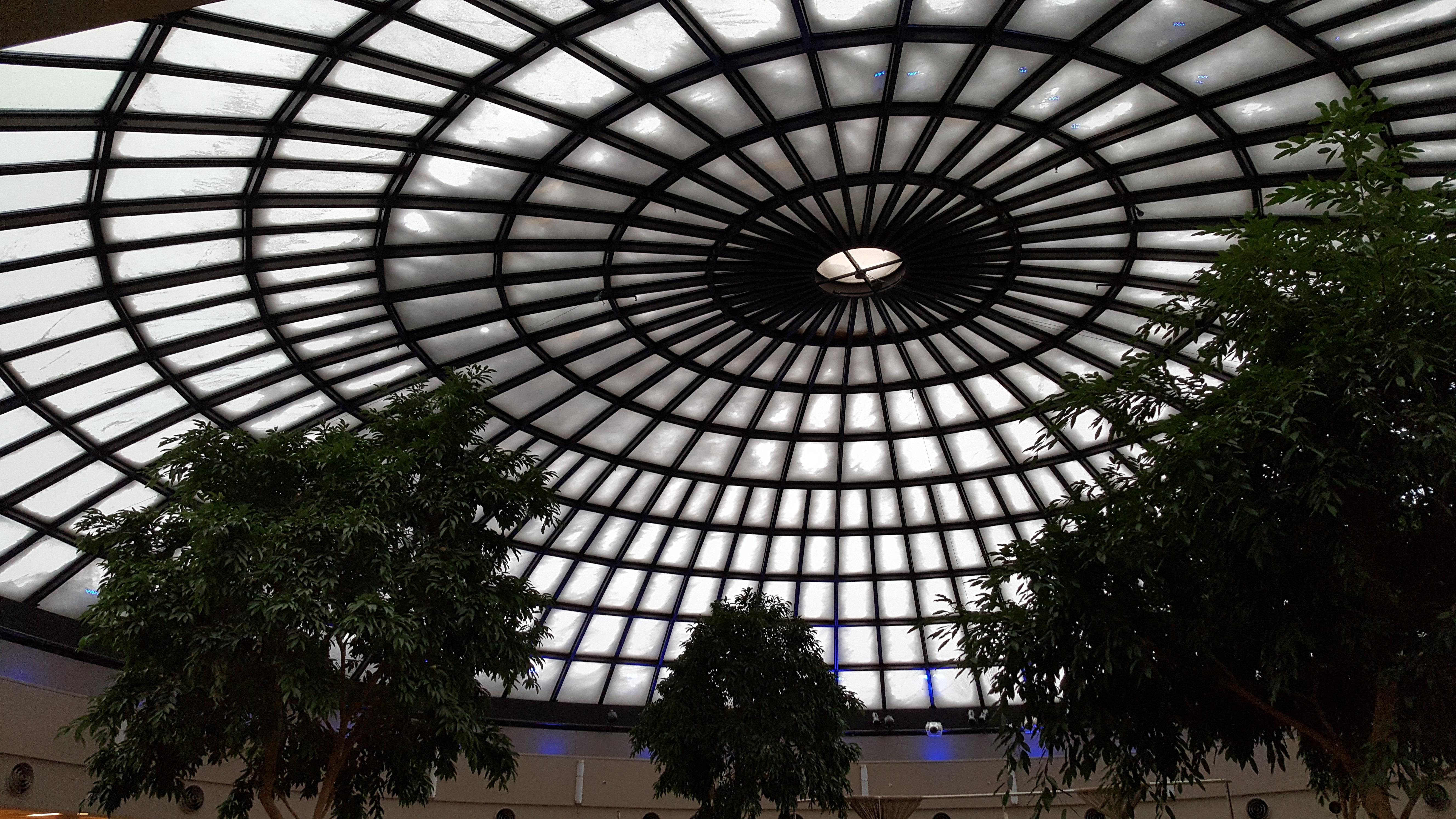 Inside (under?) the Mutual dome | Scrolller