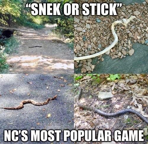 Inspired by today’s trail run... | Scrolller