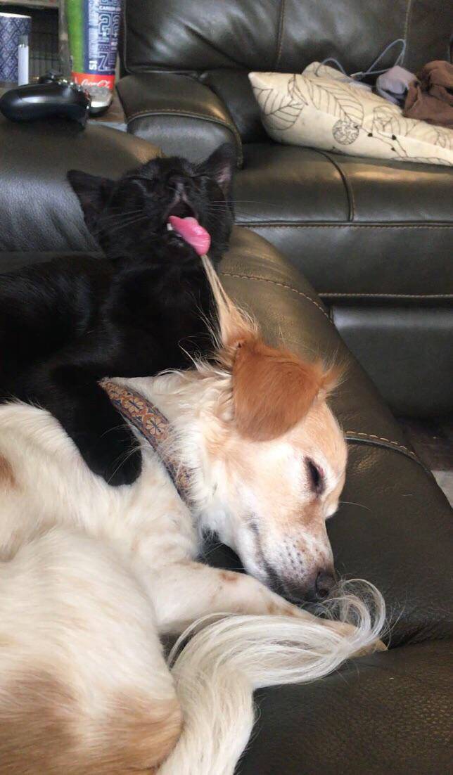 Instant regret. | Scrolller