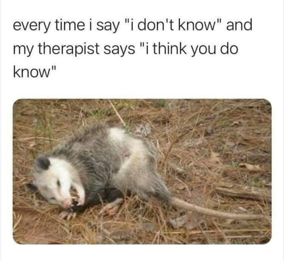 *Internal screaming* | Scrolller