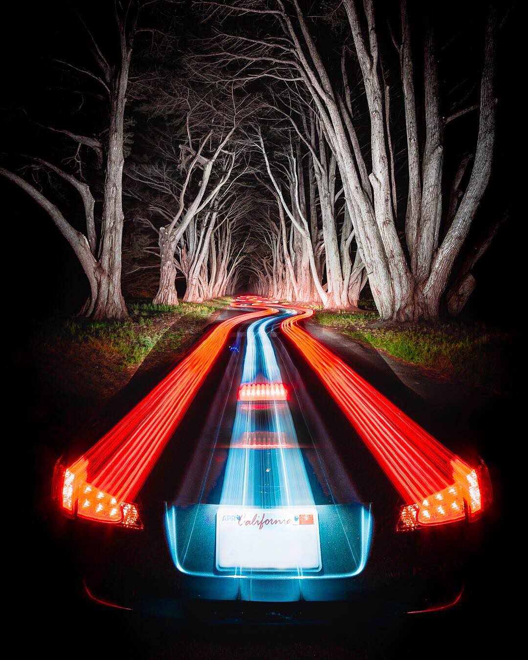 Into the haunted woods we go [1080x1350] | Scrolller