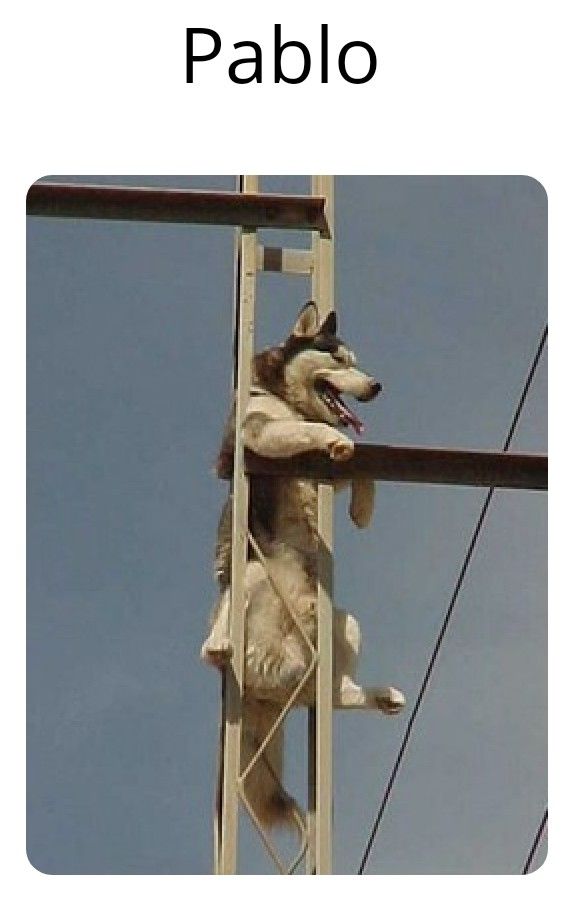 Introducing... | Scrolller