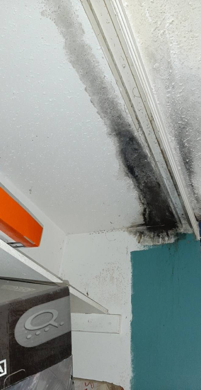 Is this mold? | Scrolller