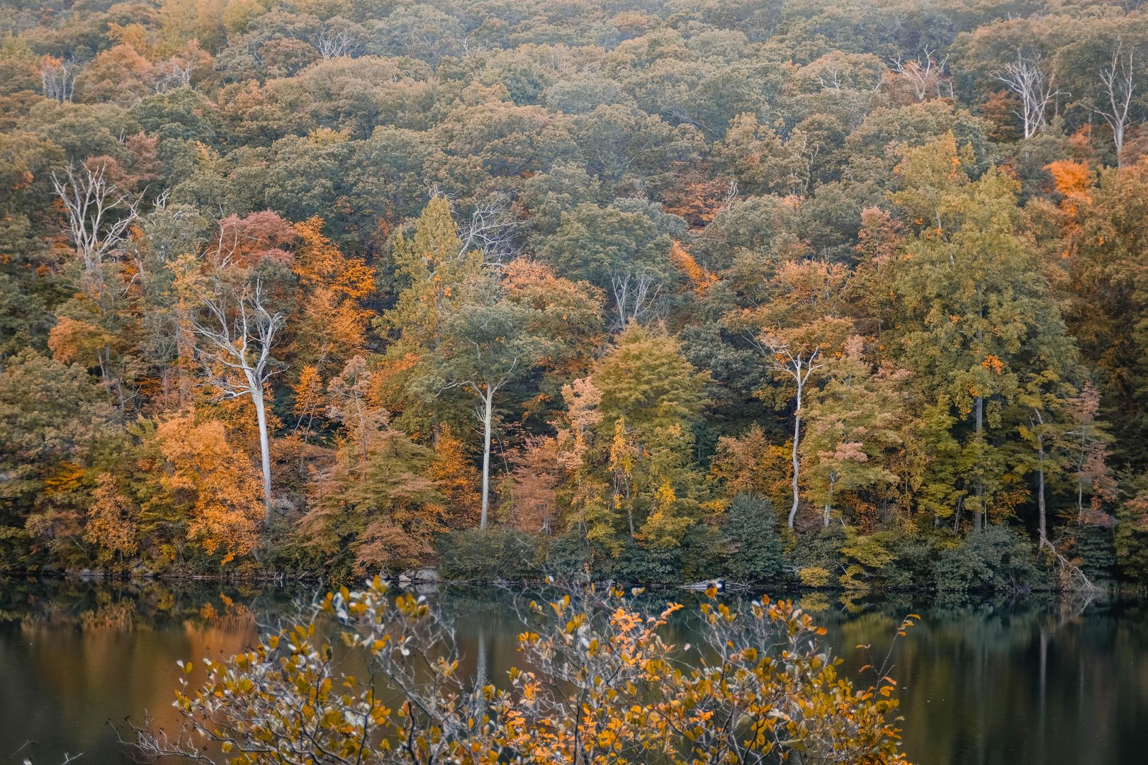 ITAP of fall foliage in New York | Scrolller