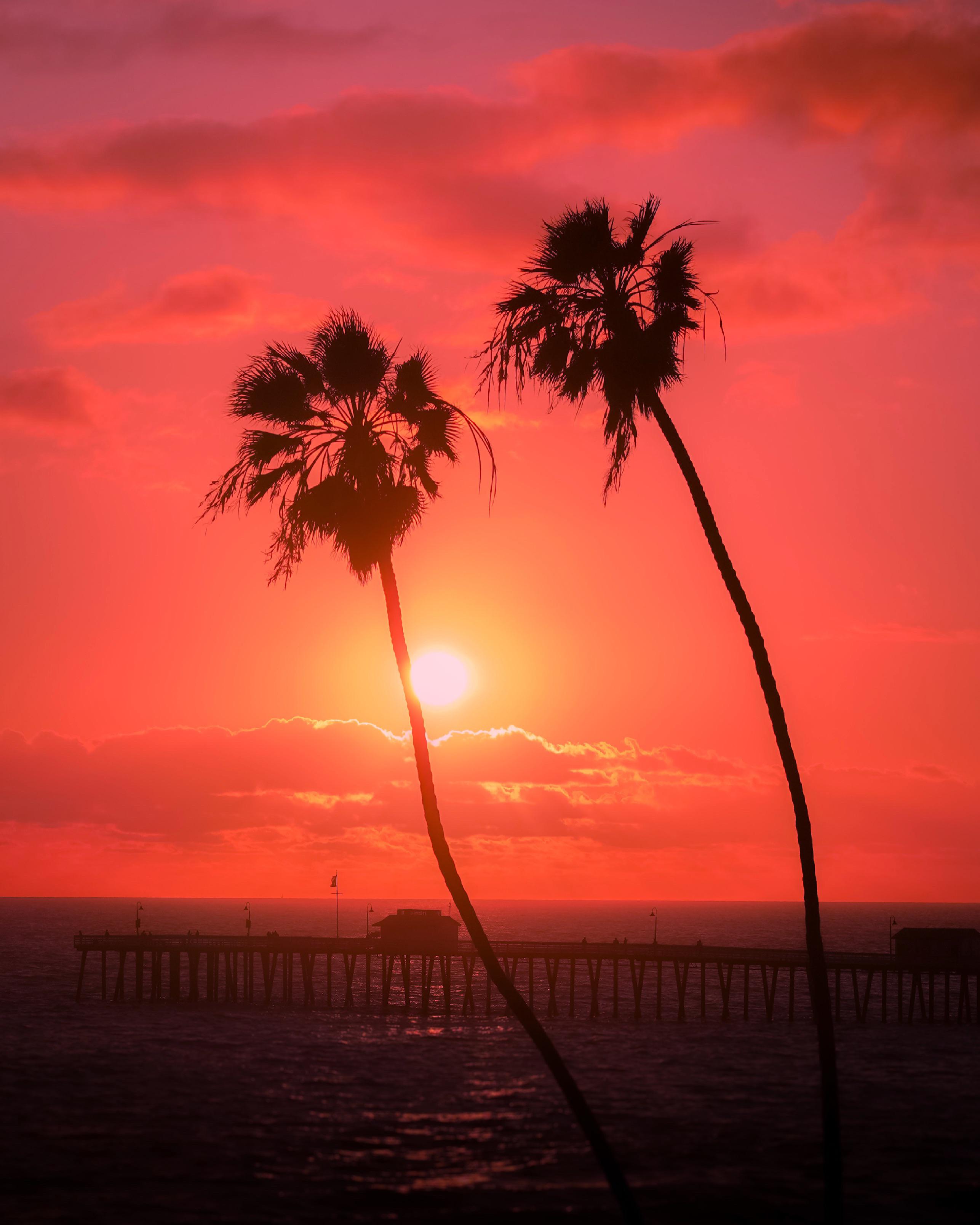 ITAP palms and sunset | Scrolller