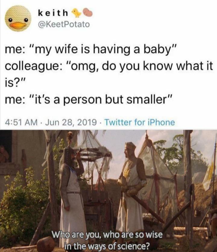 It's a little boi | Scrolller