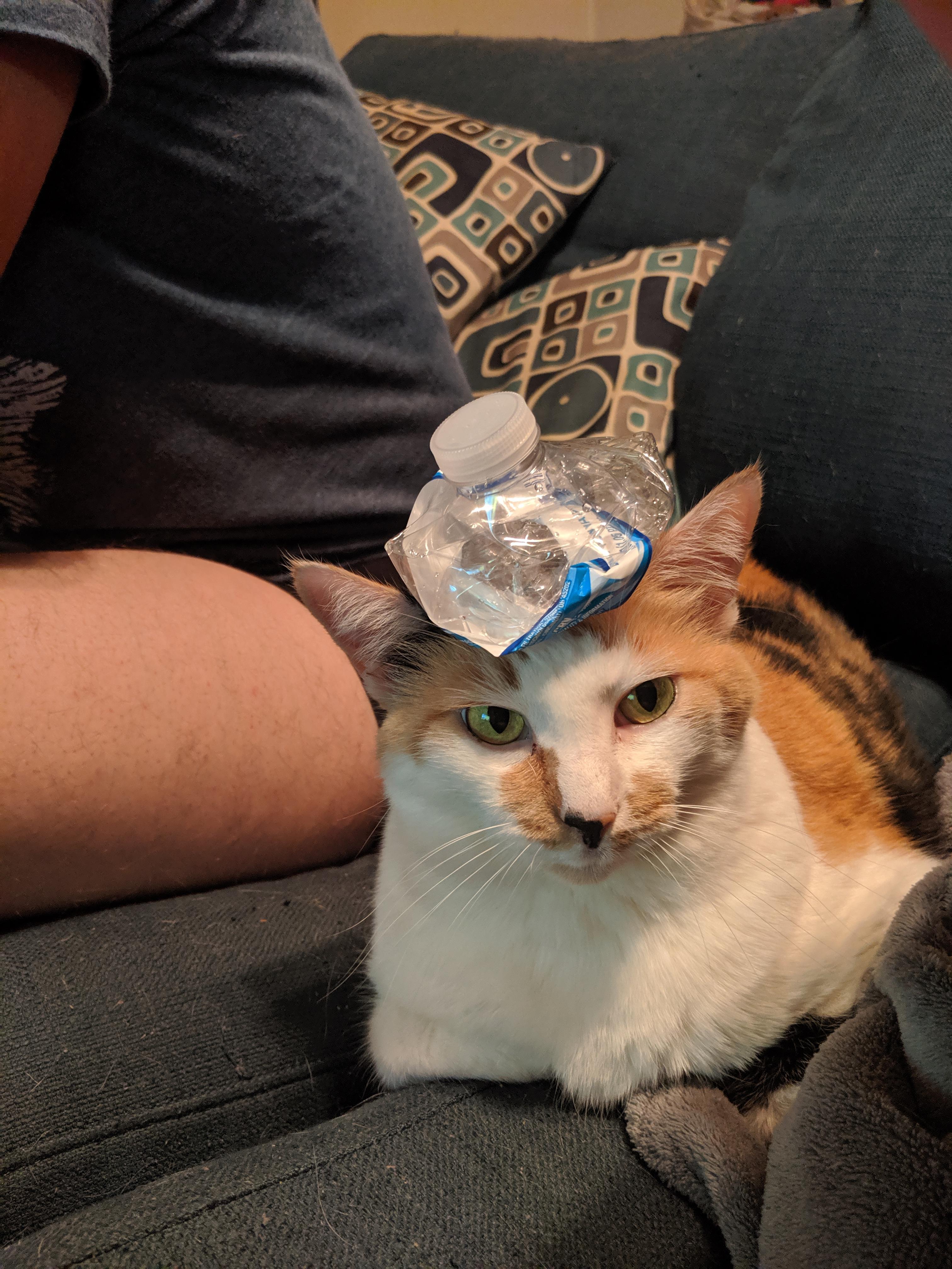 It's called fashion. | Scrolller