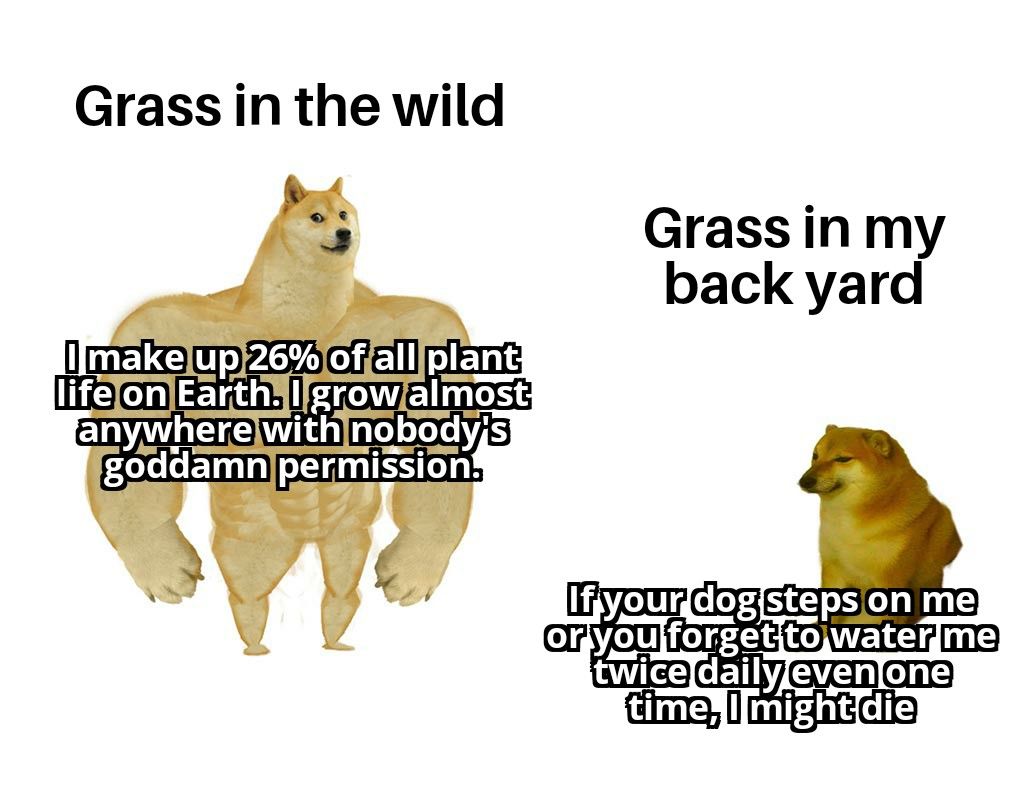 It's evolving, just backwards. | Scrolller