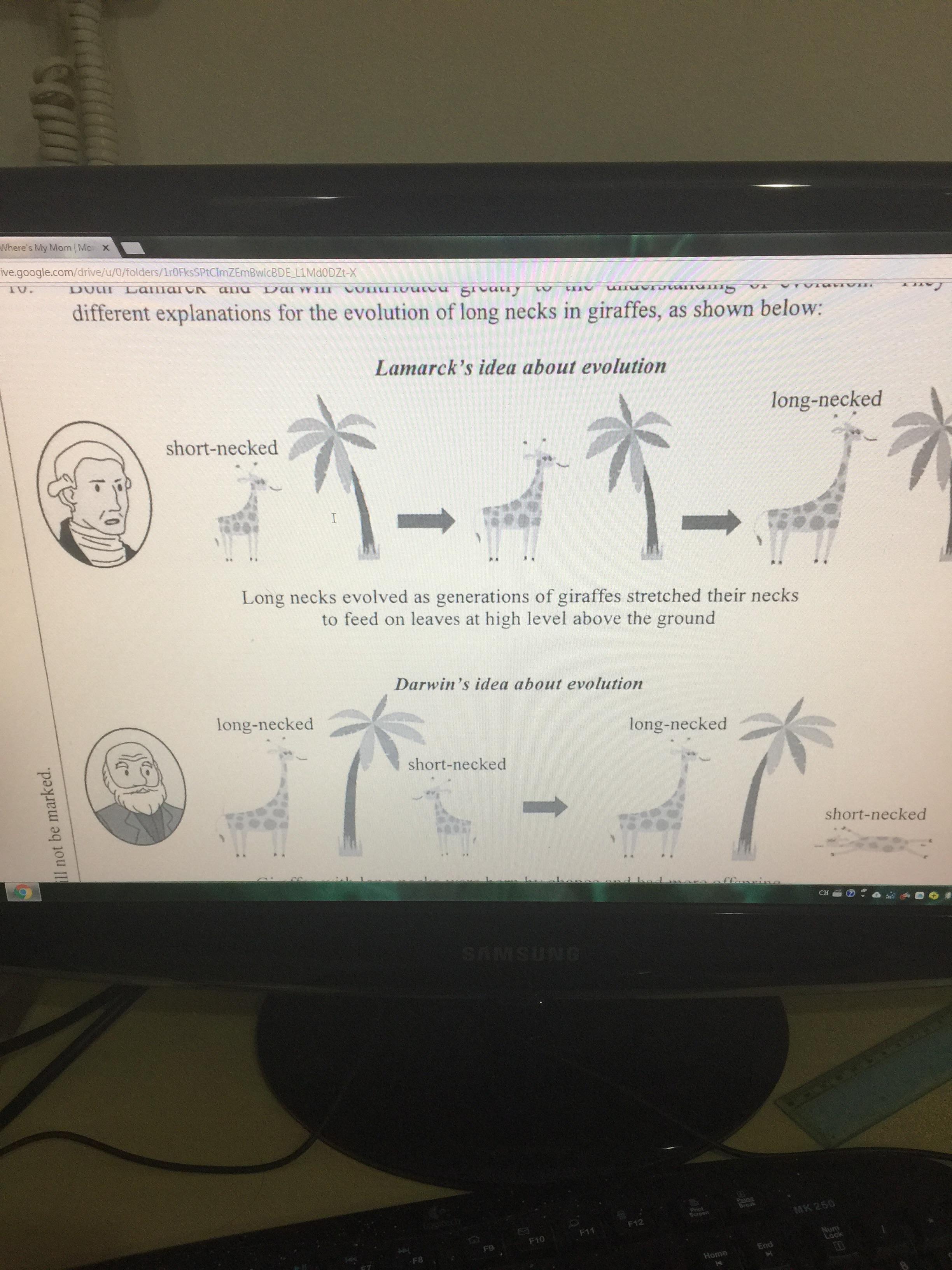its lamarck's loss | Scrolller