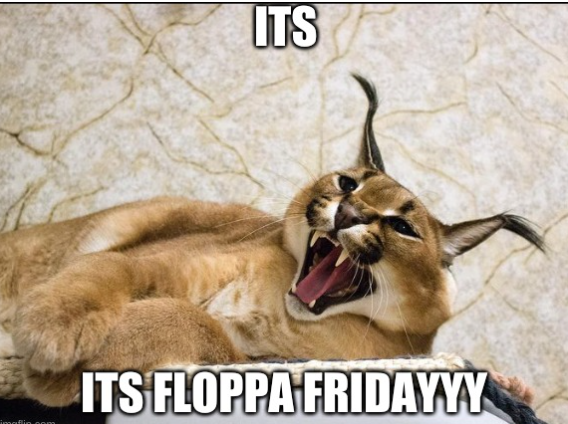 It's officially floppa Friday. Happy floppa Friday. | Scrolller