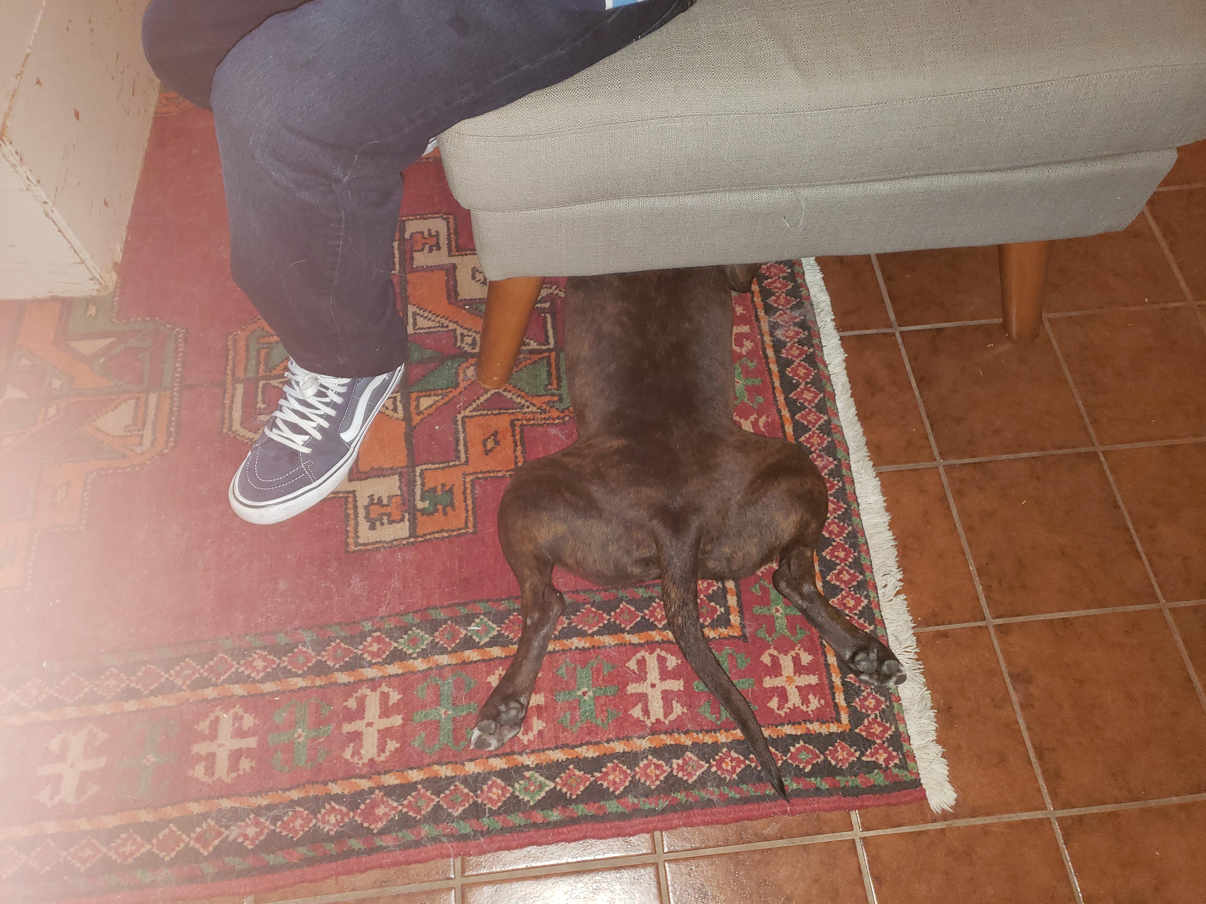 Its Tushy Time! | Scrolller