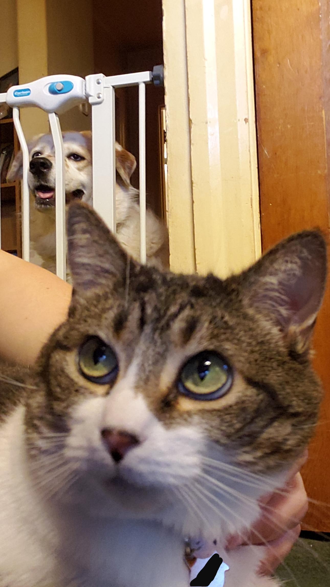 Jealous Butt | Scrolller