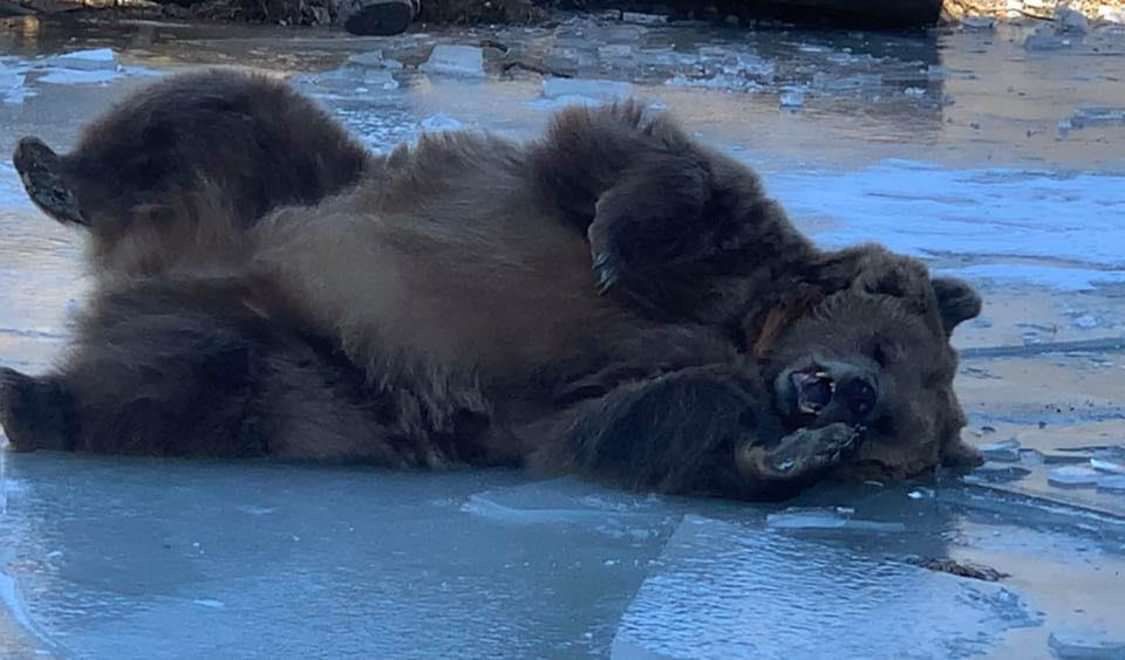 Jenny looking ferocious | Scrolller