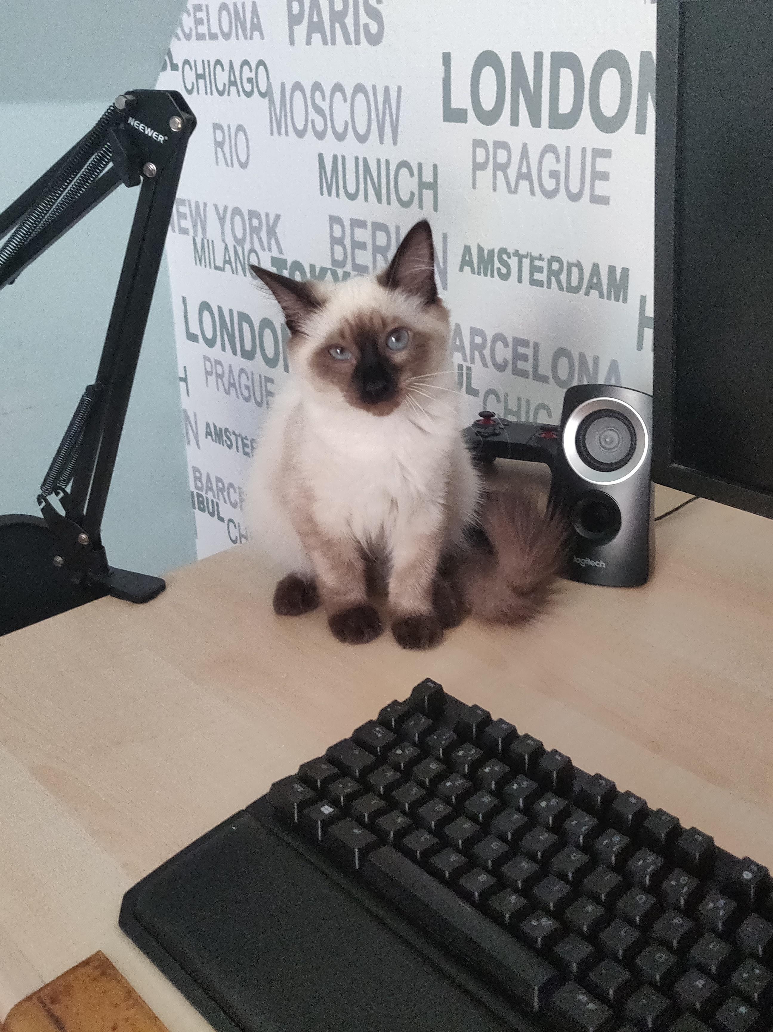 Jerry and a Blackwidow Elite! | Scrolller