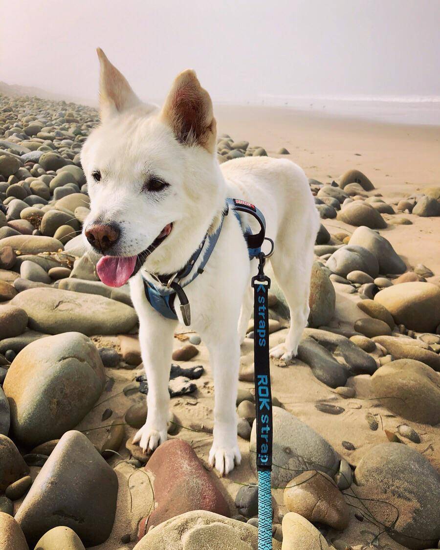 Jin on the rocks | Scrolller