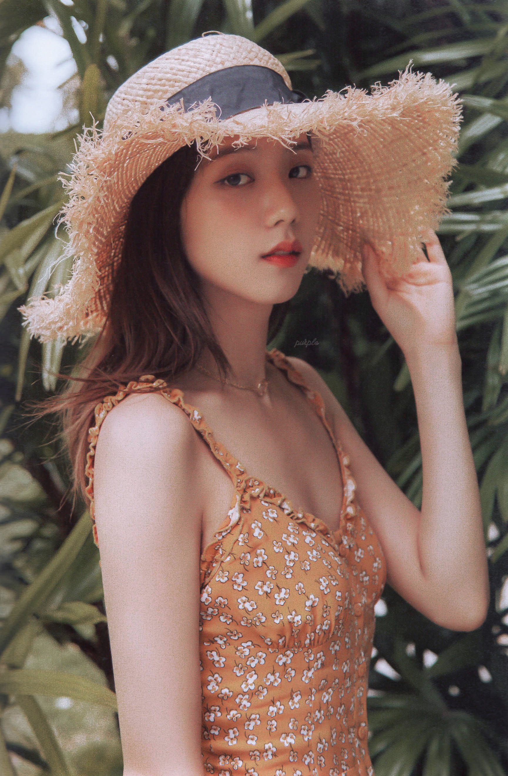 Jisoo (Summer Diary Scan) | Scrolller