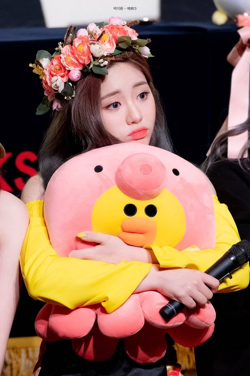 Jiwon plushie hug | Scrolller