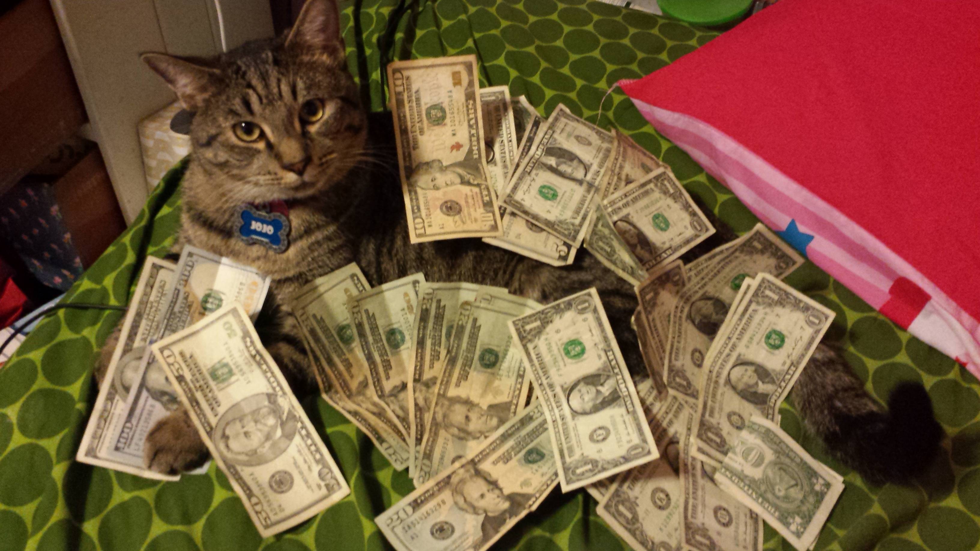 Jojo wants to make it rain. | Scrolller