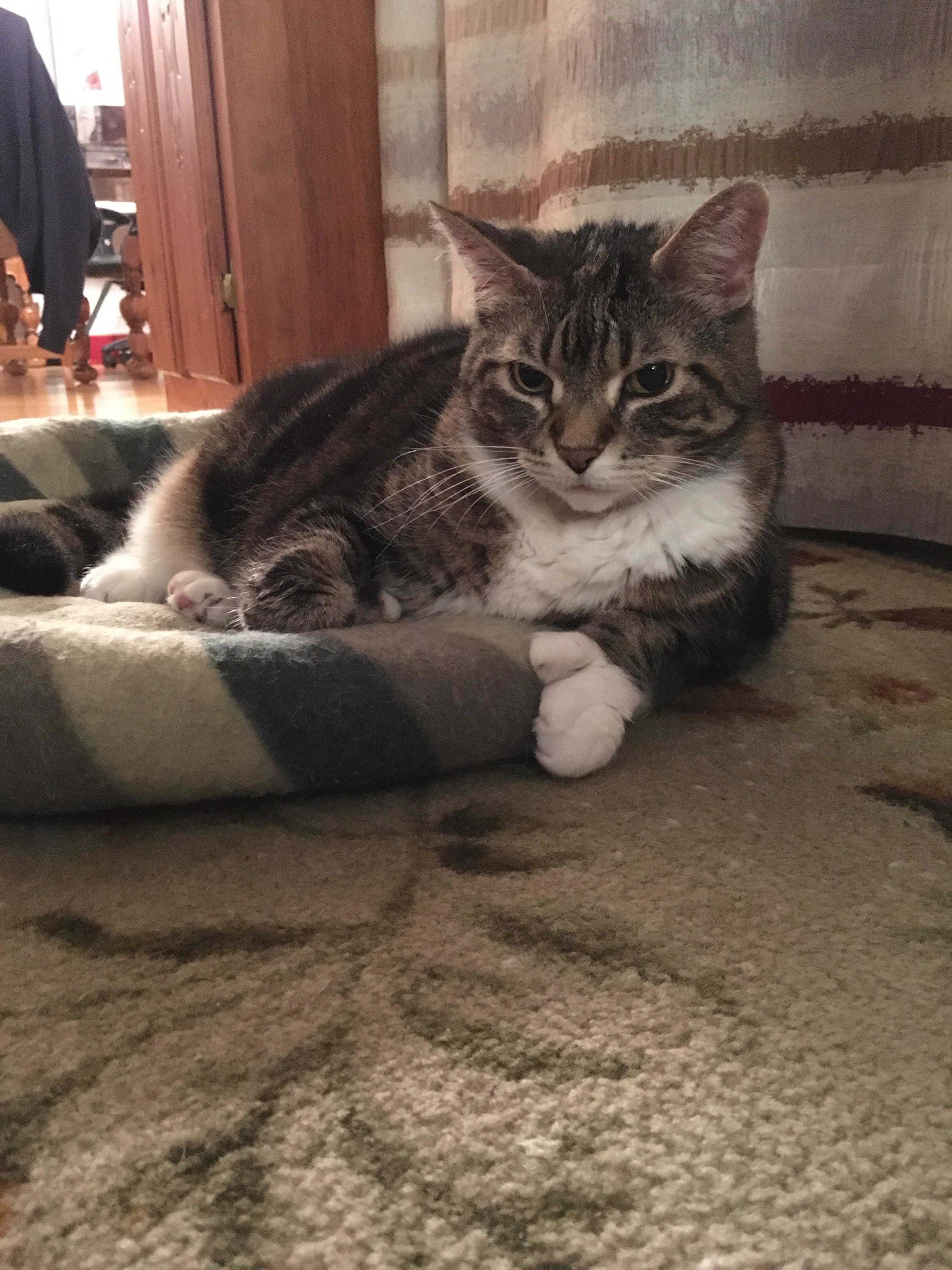 Judging you | Scrolller