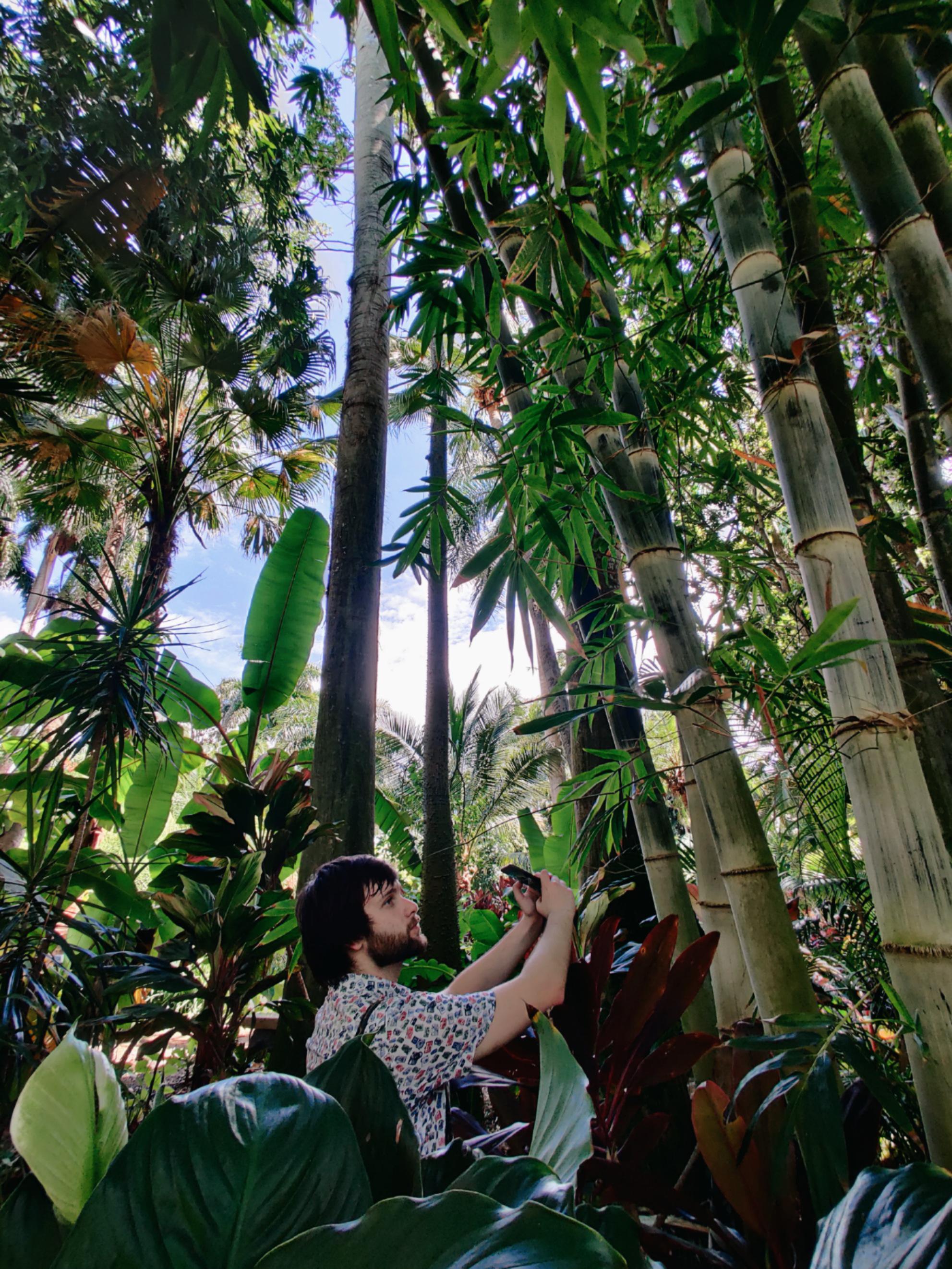 Jungle Boi 🌿 | Scrolller