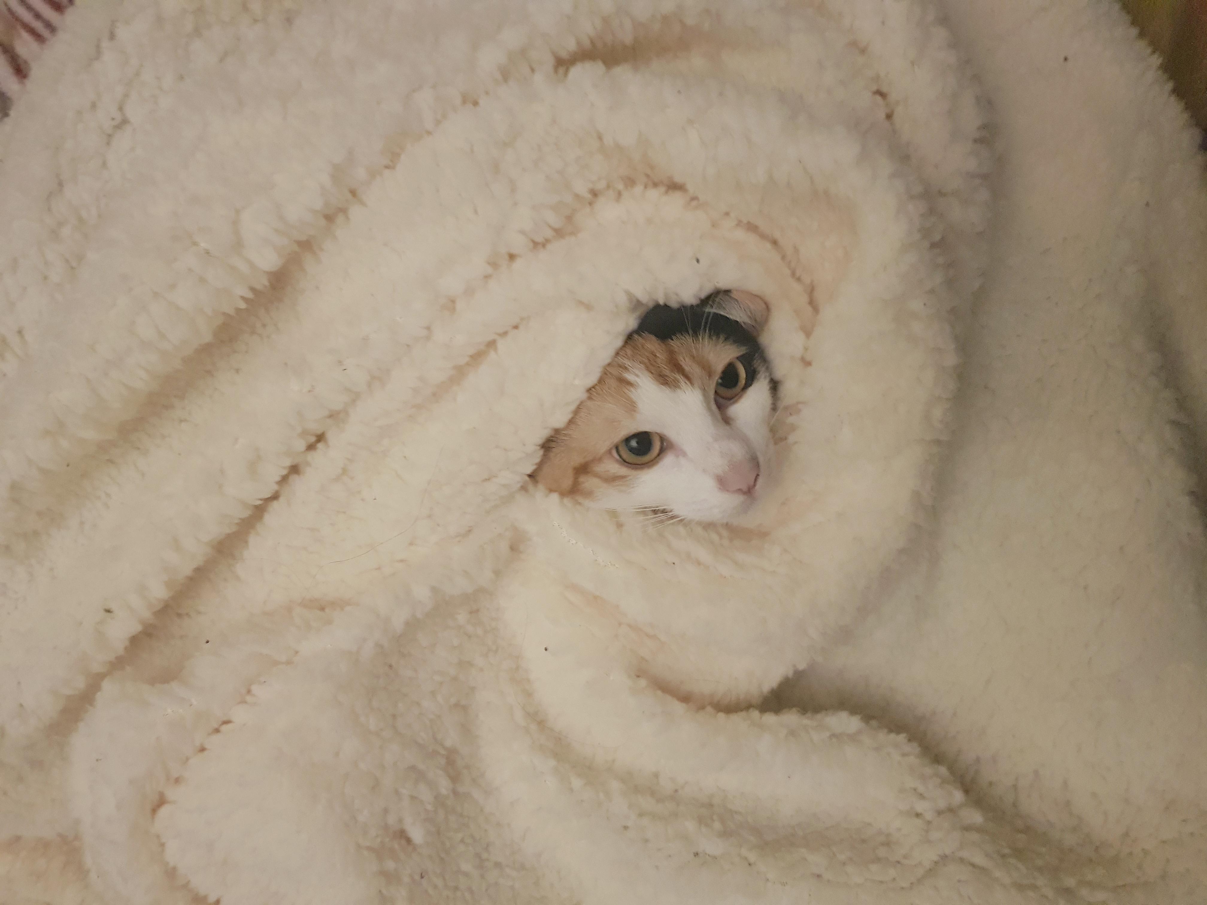 Just a chilly day | Scrolller