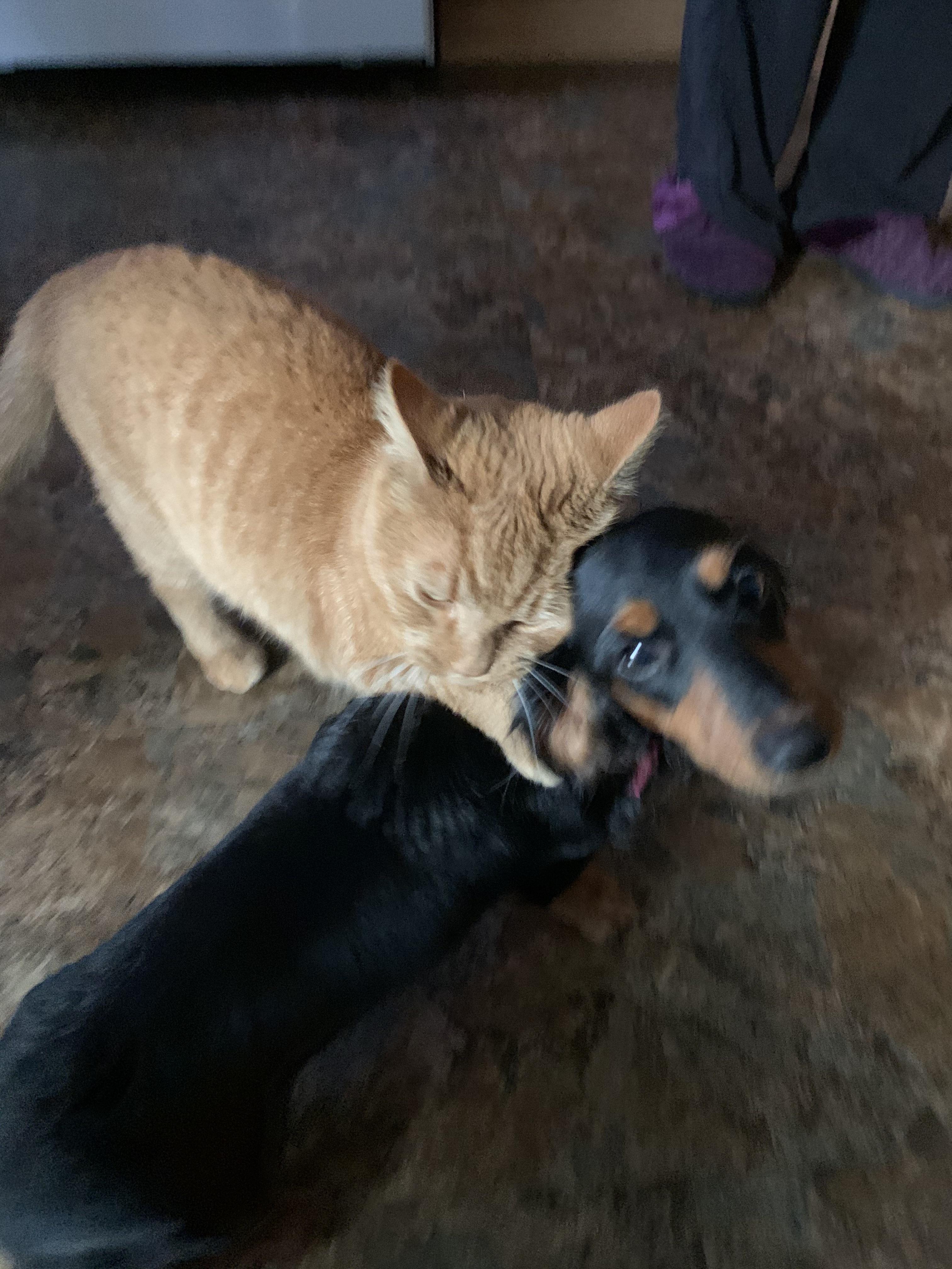 Just a little hug. | Scrolller