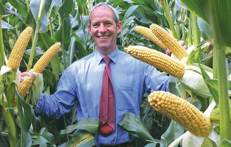 It’s just corn. | Scrolller