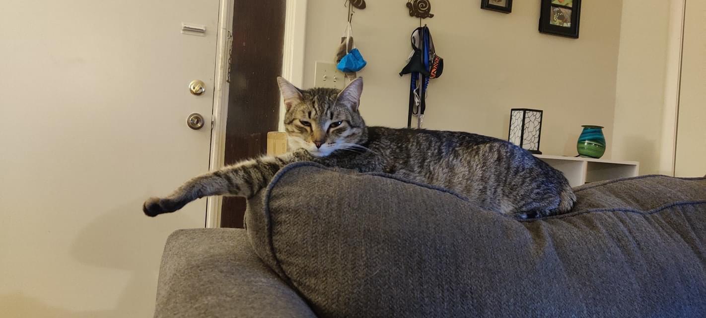 Just a normal lazy Monday type of thing | Scrolller