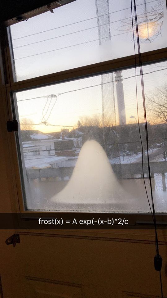 Just a normal morning | Scrolller