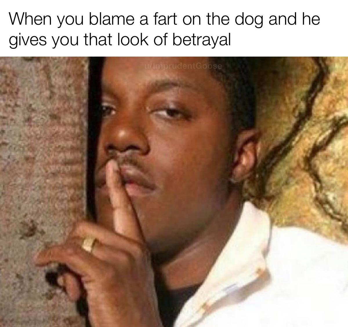 Just be cool, man | Scrolller