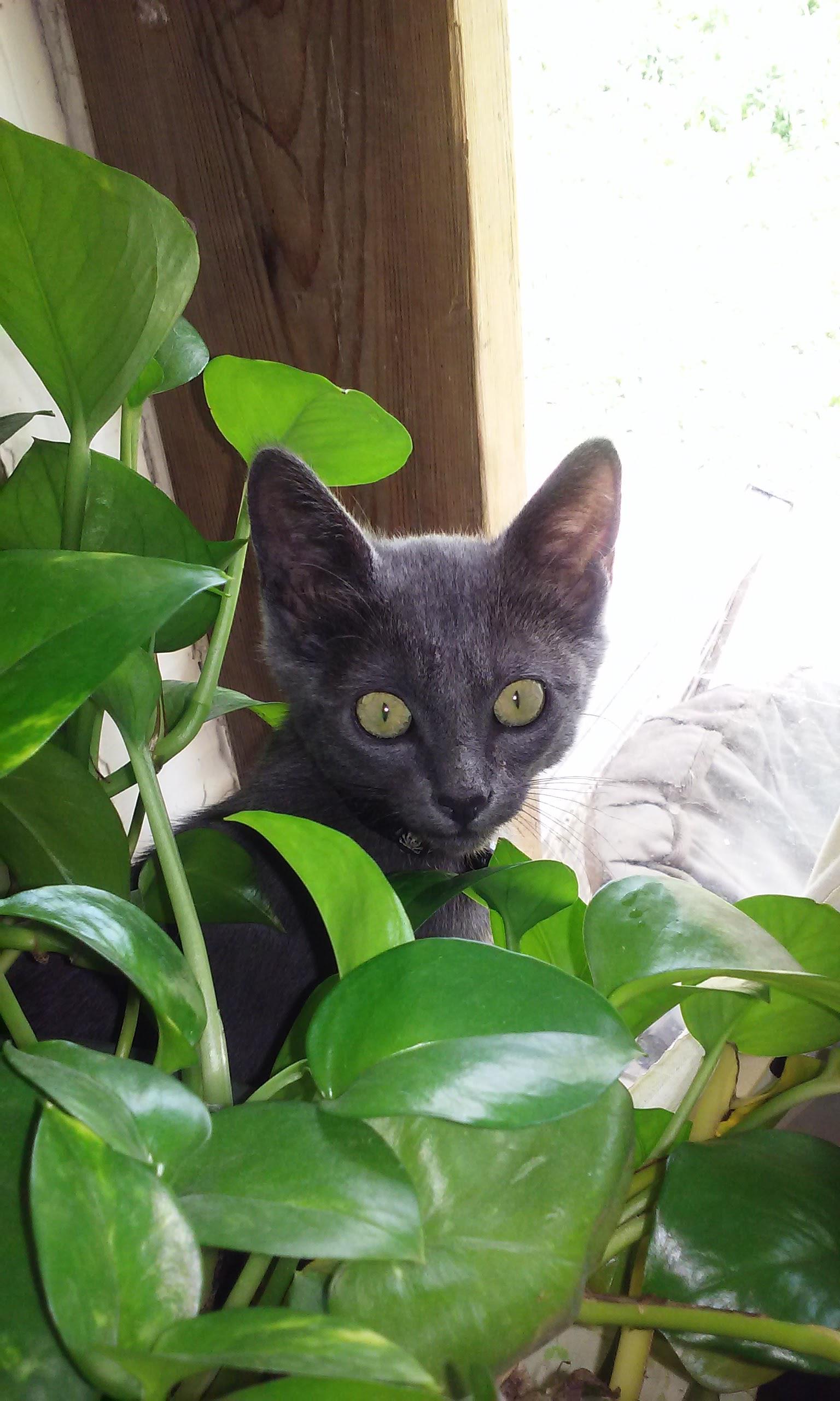 Just chillin | Scrolller