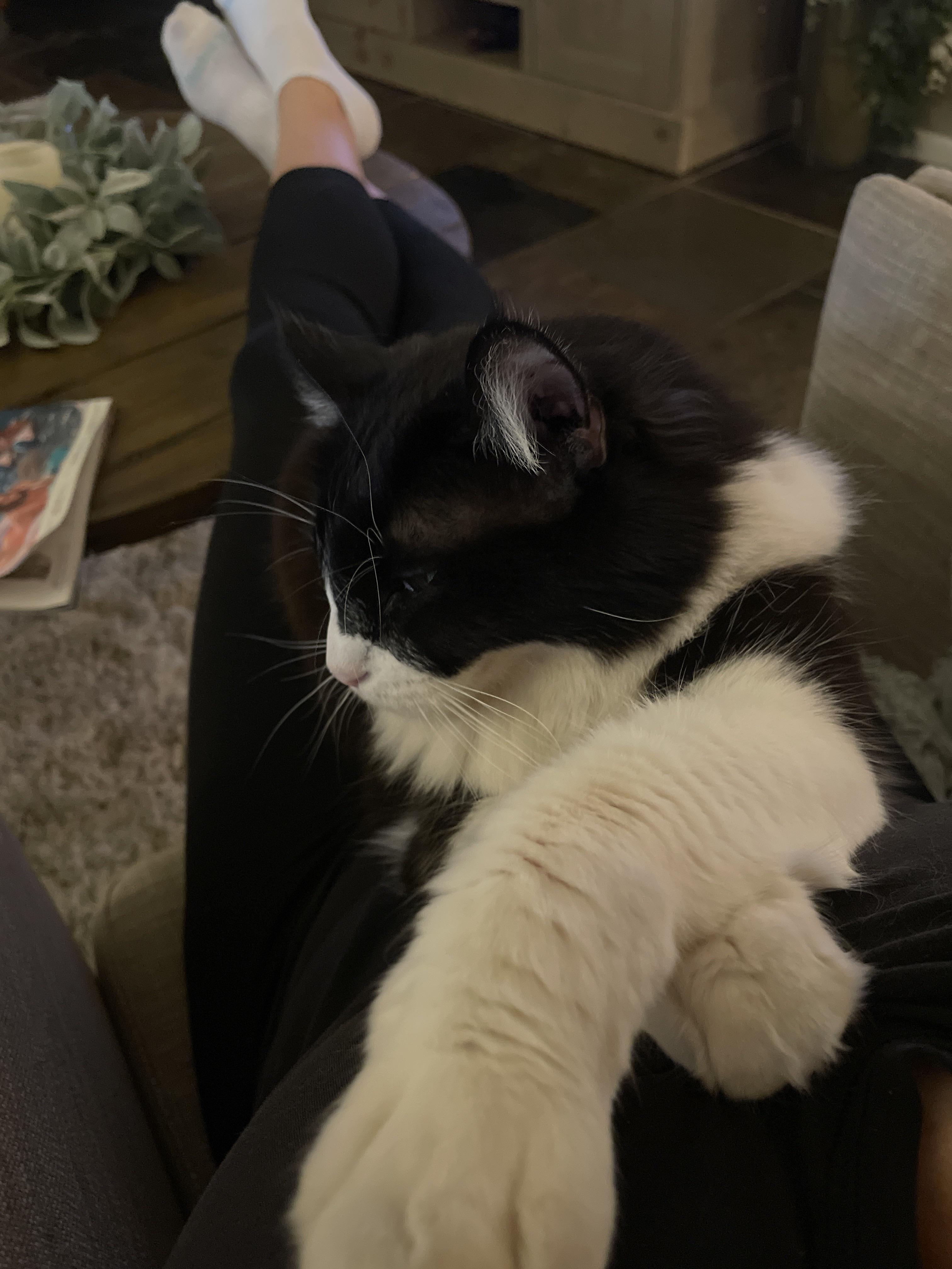 Just Chilling | Scrolller